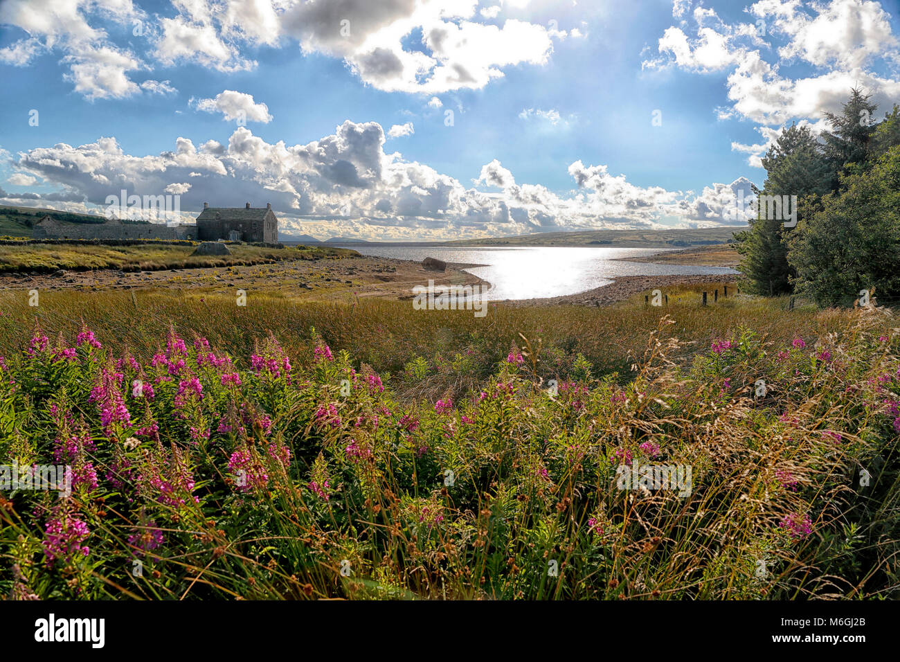 Grimwith reservoir sailing club hi-res stock photography and images - Alamy