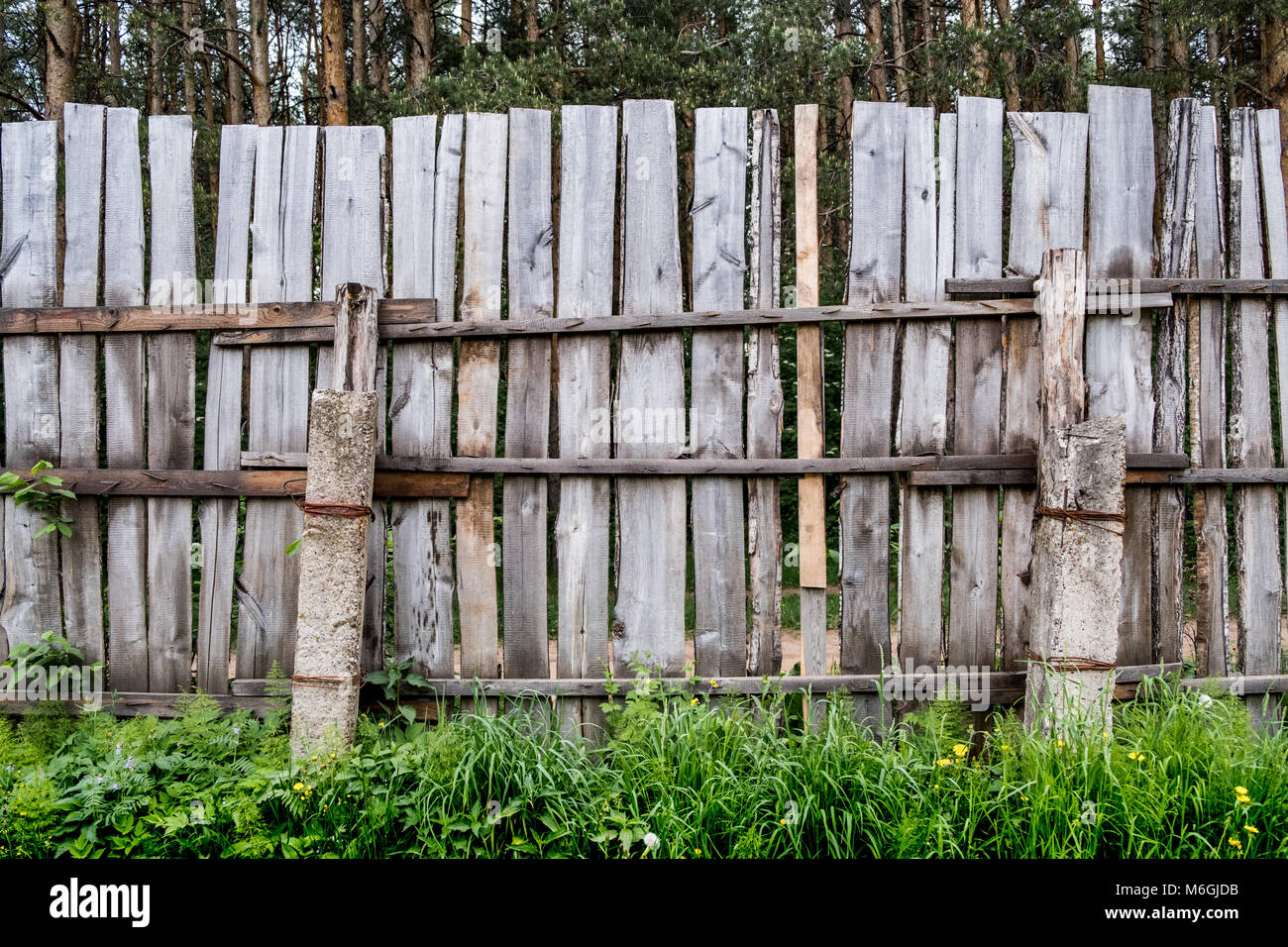 Old wooden fence against the pine forest. High old fence in the ...