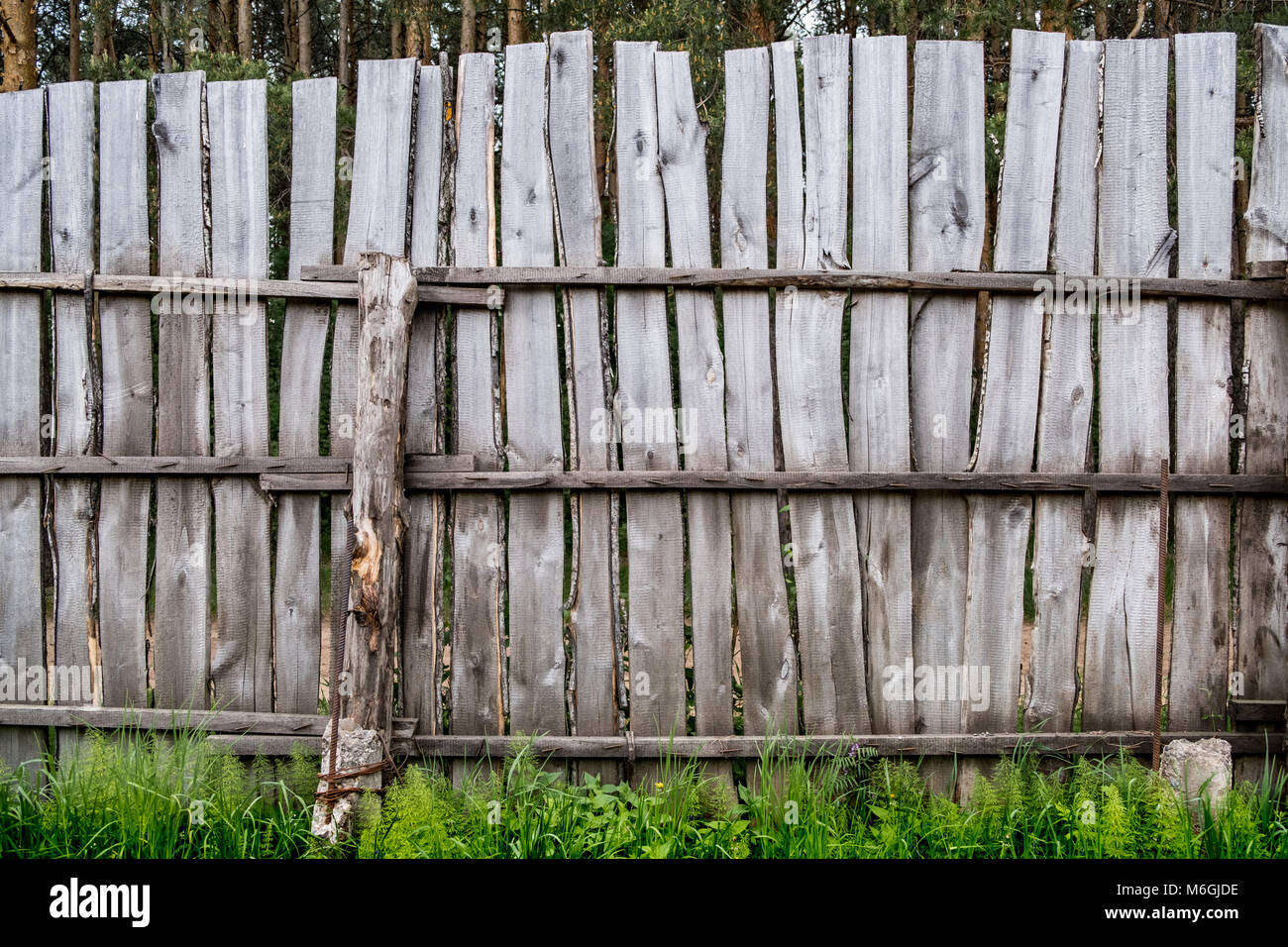 Old wooden fence against the pine forest. High old fence in the ...