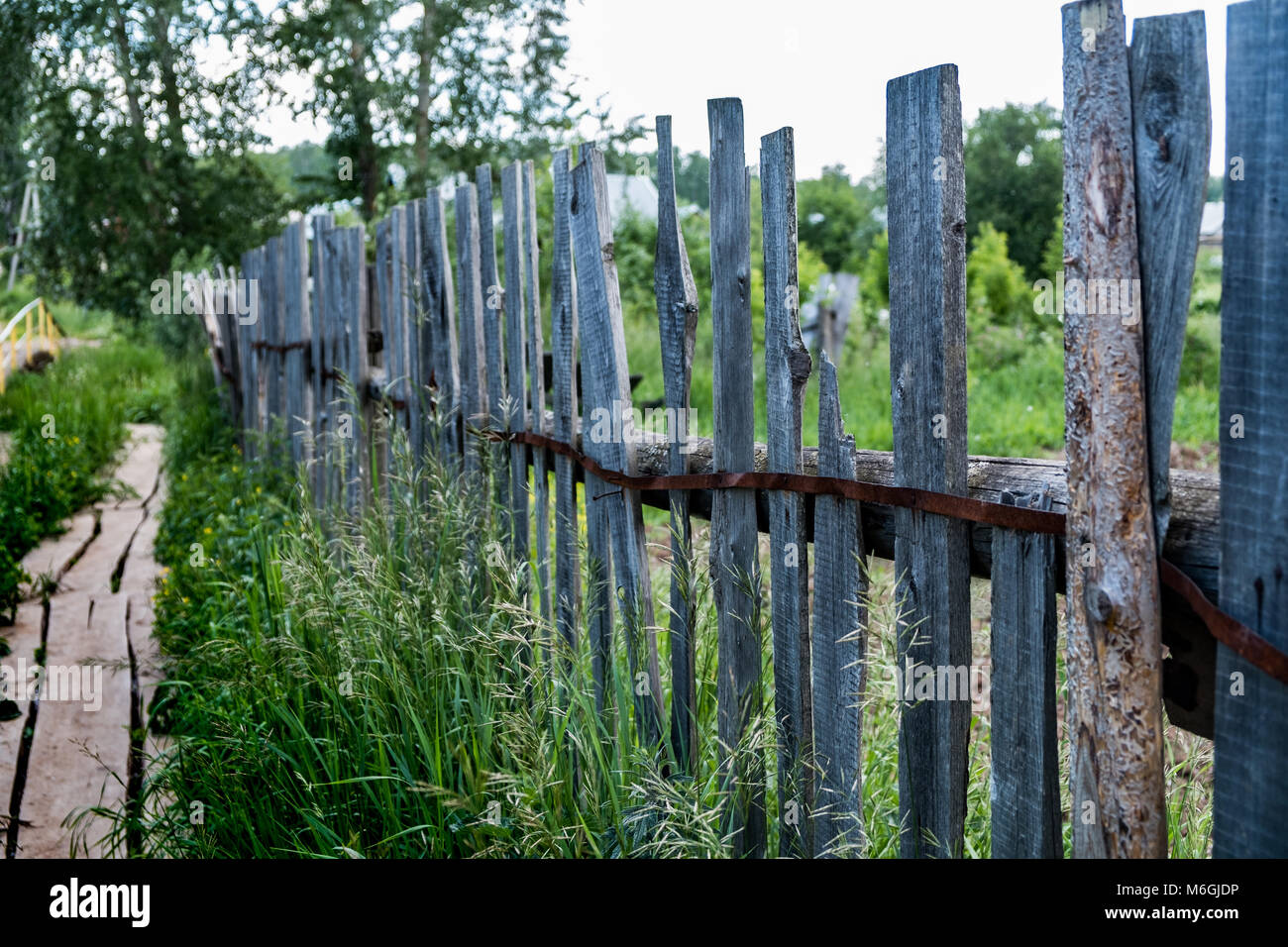 Overgrown with greenery old wooden fence. Rural scene Stock Photo - Alamy