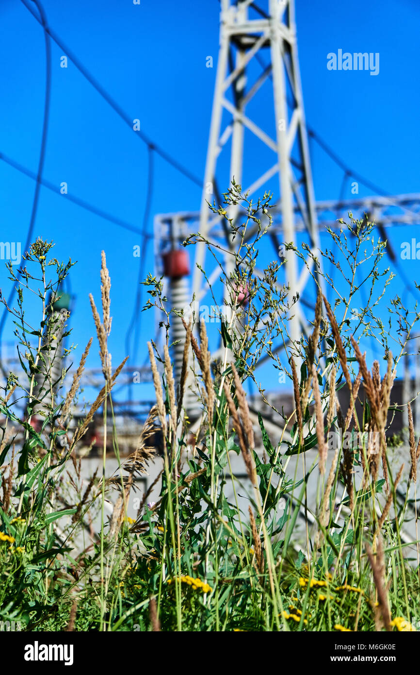 High Grass Against High Voltage Insulators On Transformer Substation Of Metallurgical Plant