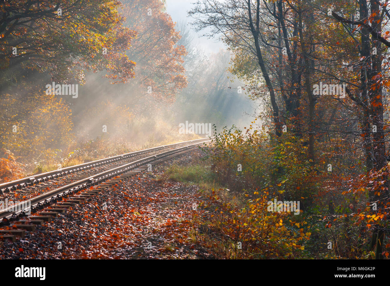 Track line hi-res stock photography and images - Alamy