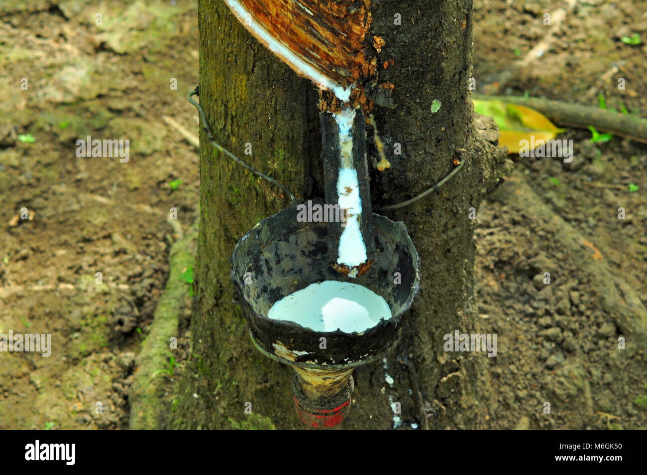 Lamitan, Philippines. 27th Feb, 2018. Lamitan's best tourist spots and ...
