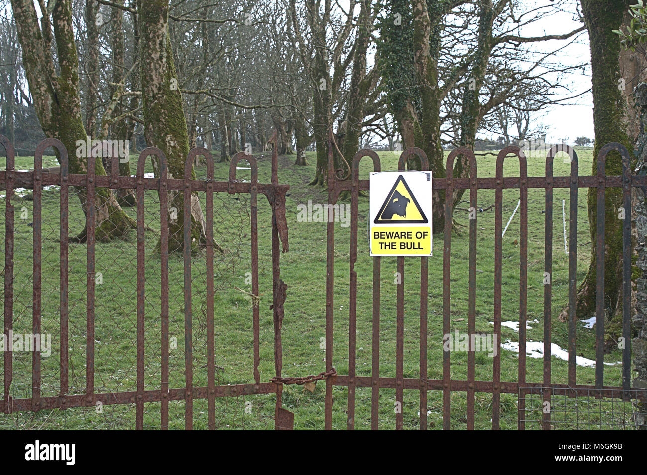 Beware of the Bull warning on a gate Stock Photo - Alamy