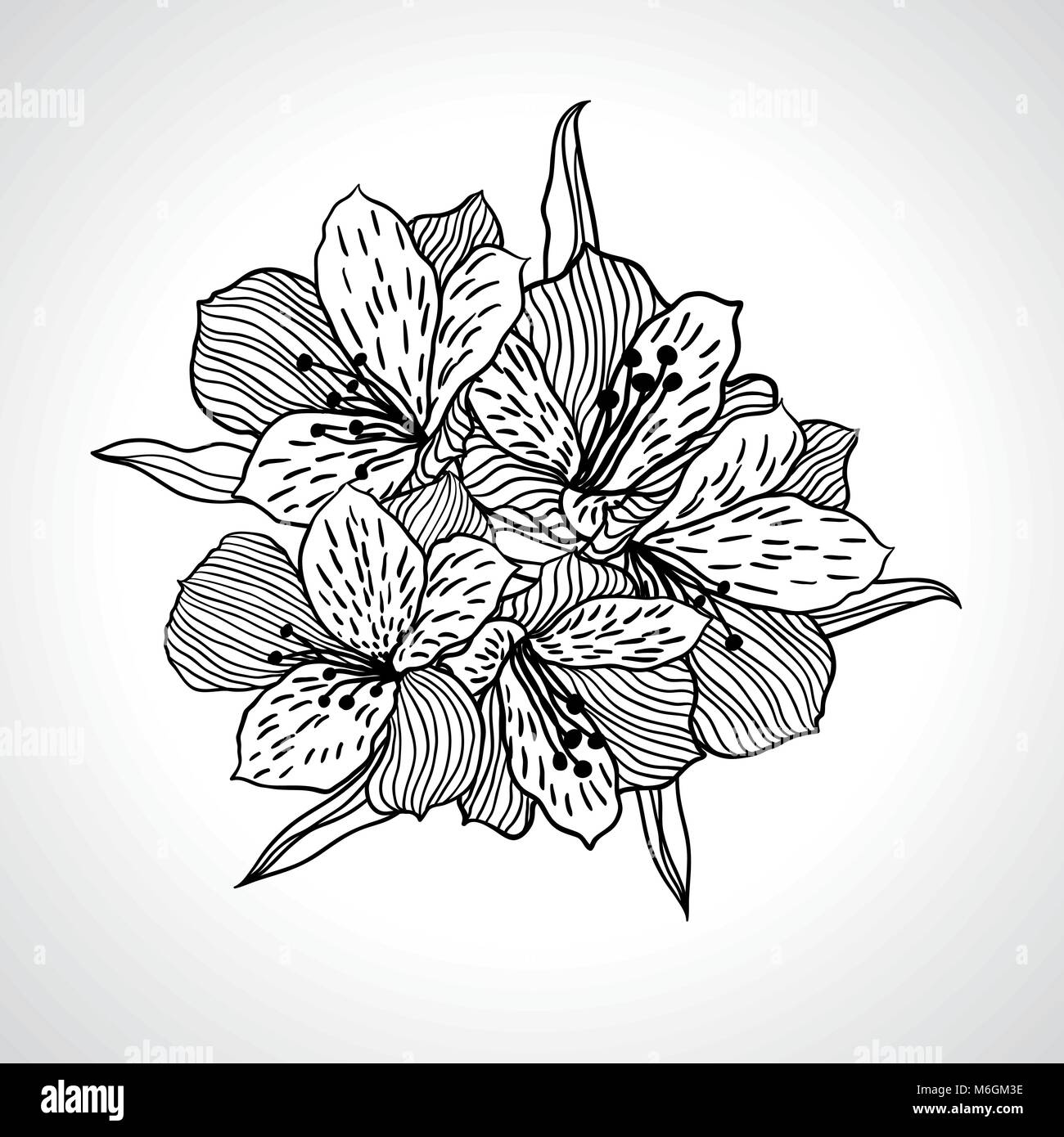 Black orchid floral botanical Stock Vector Images - Alamy