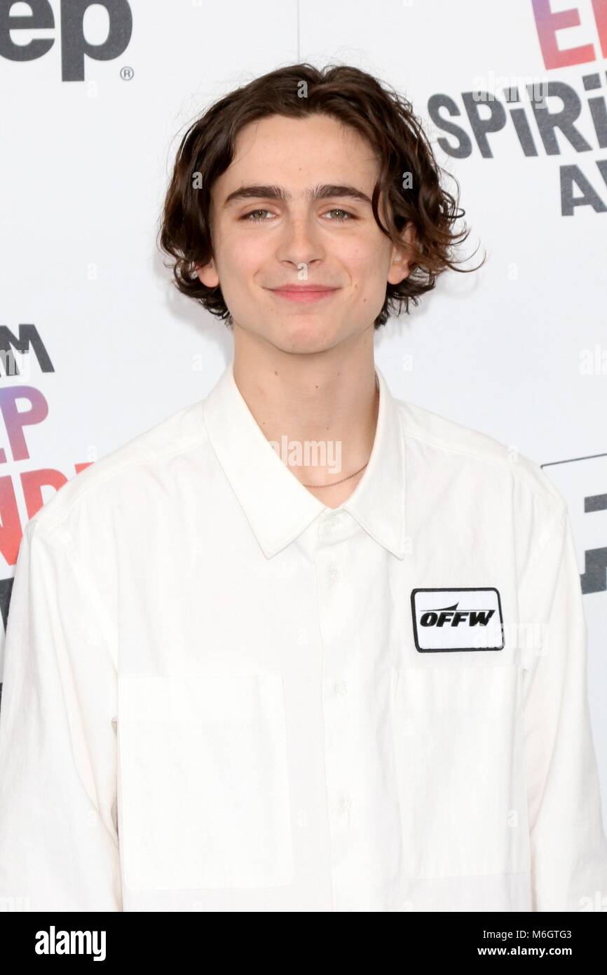 Santa Monica, CA. 3rd Mar, 2018. Timothee Chalamet at arrivals for 2018 ...