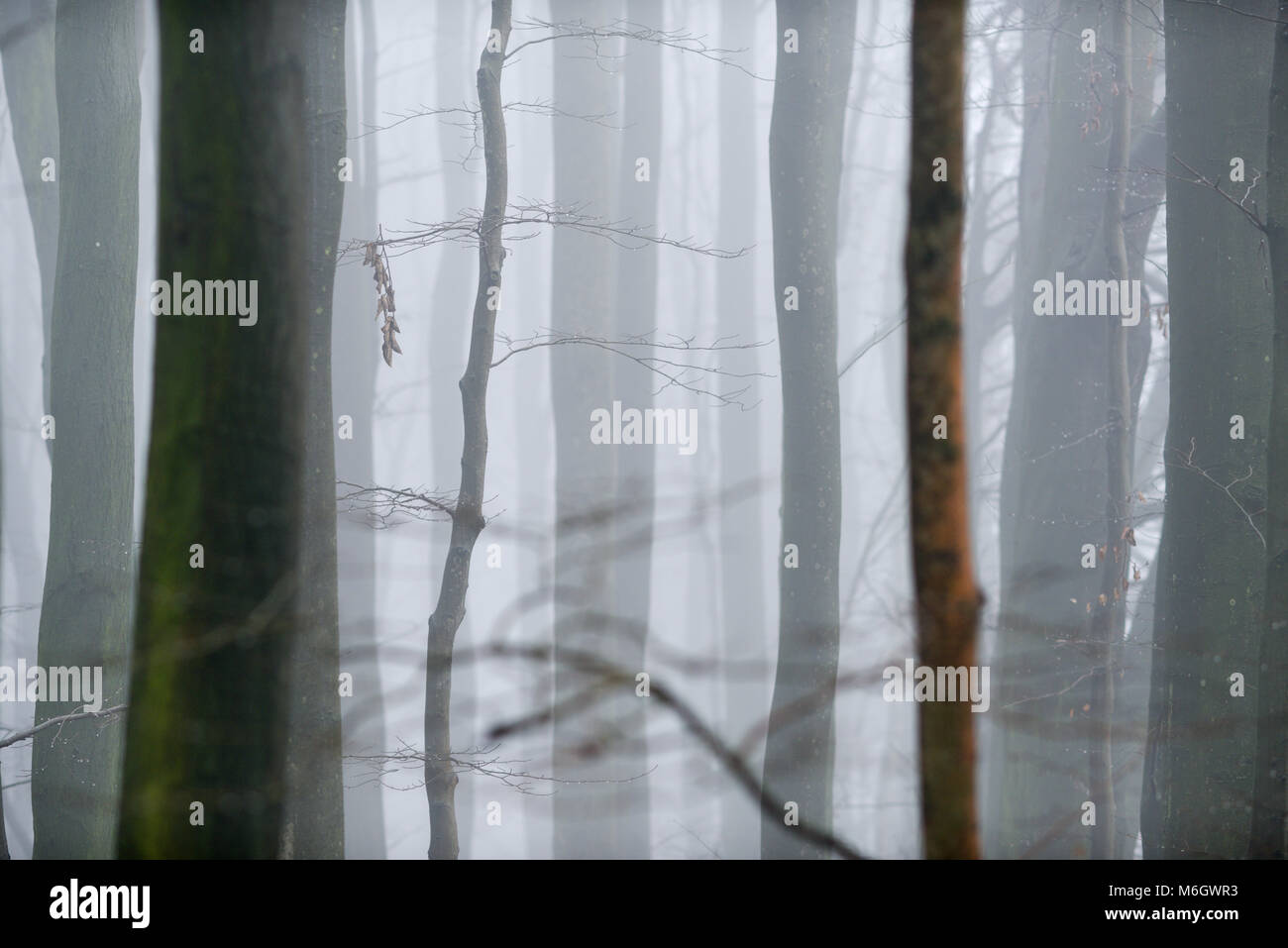 Annesley nottinghamshire hi-res stock photography and images - Alamy