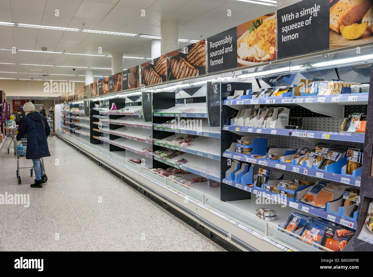Tesco Supermarket Trolley Food Shopping Stock Photos & Tesco ...
