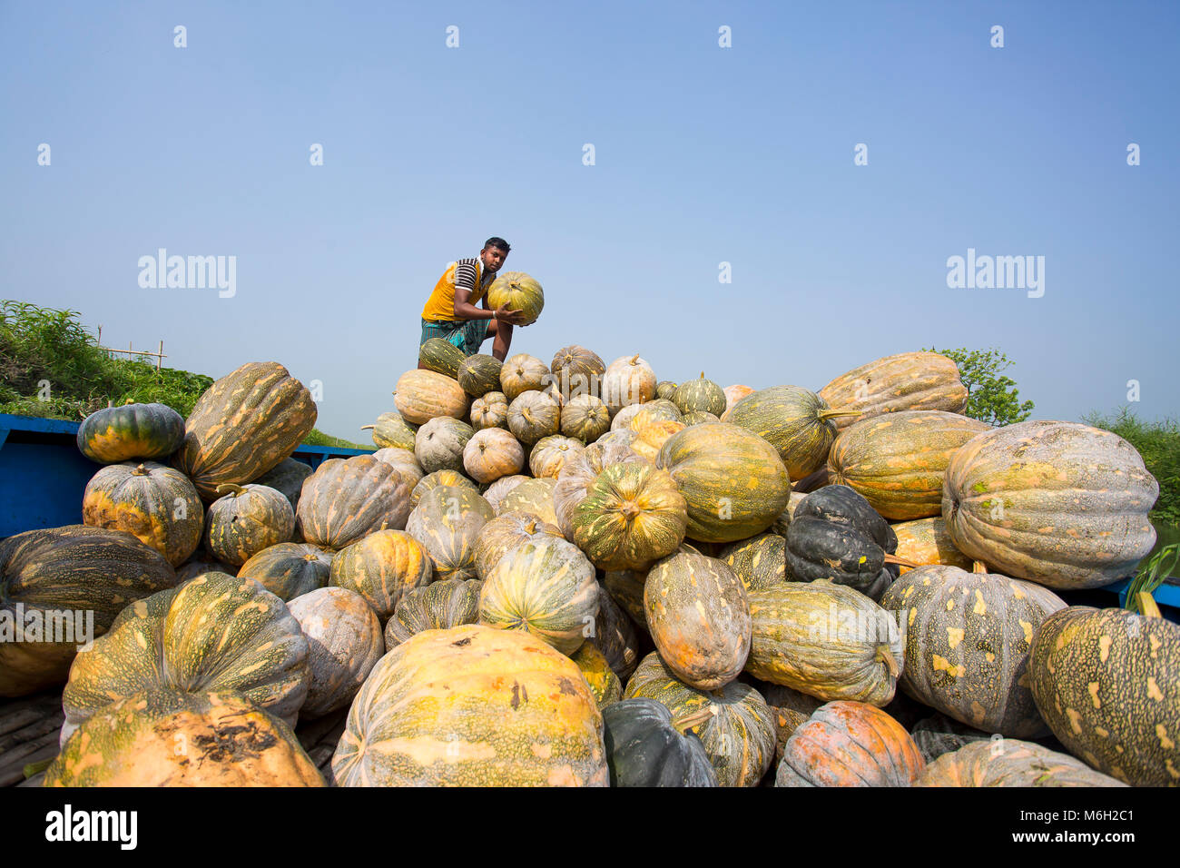 The Arial Beel (water body) of Munshiganj is famous for producing ...