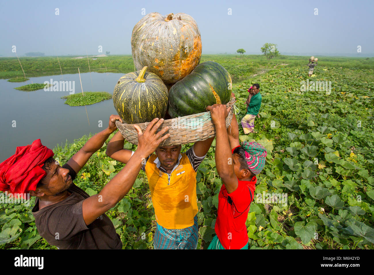 The Arial Beel (water body) of Munshiganj is famous for producing ...