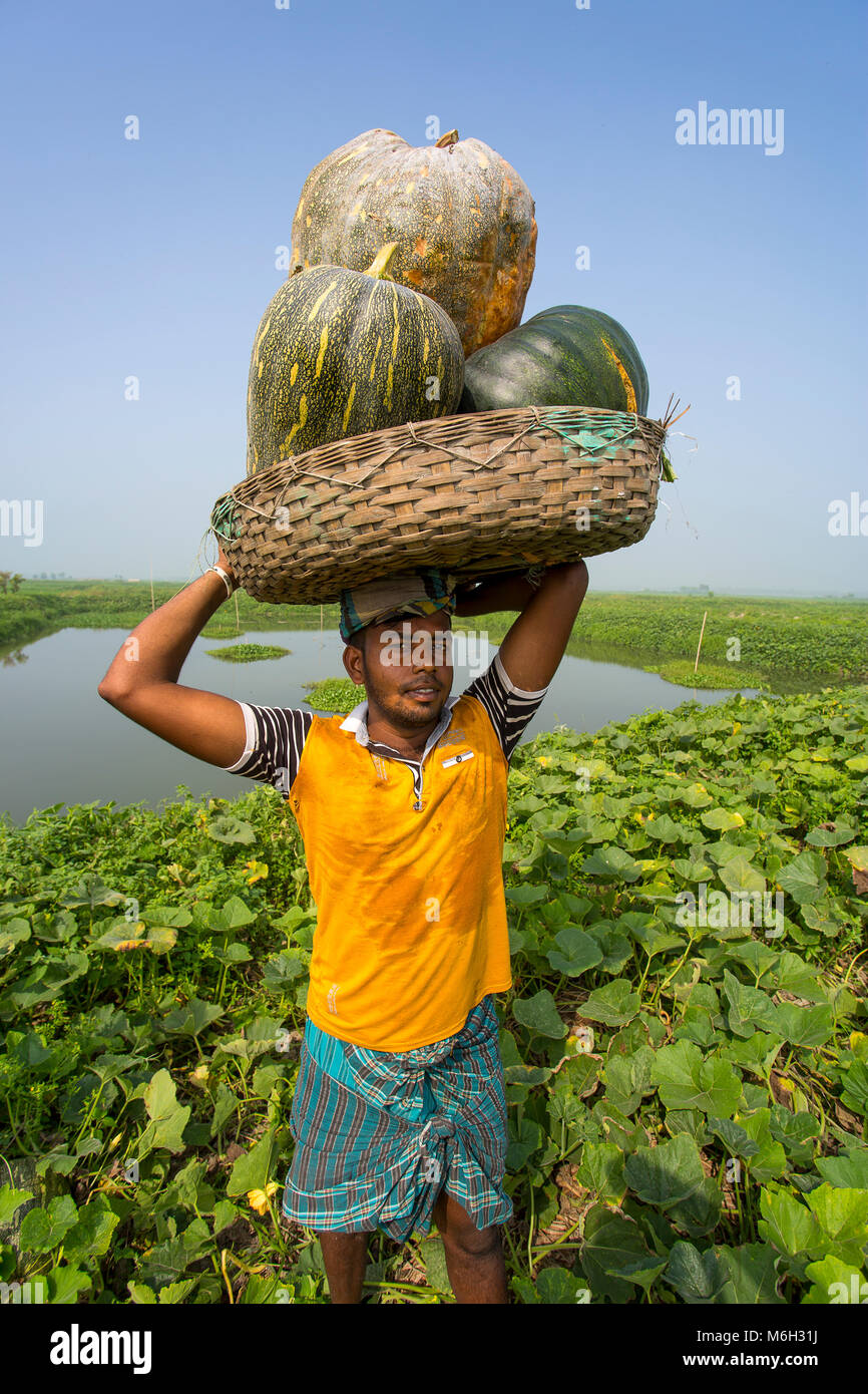 The Arial Beel (water body) of Munshiganj is famous for producing ...