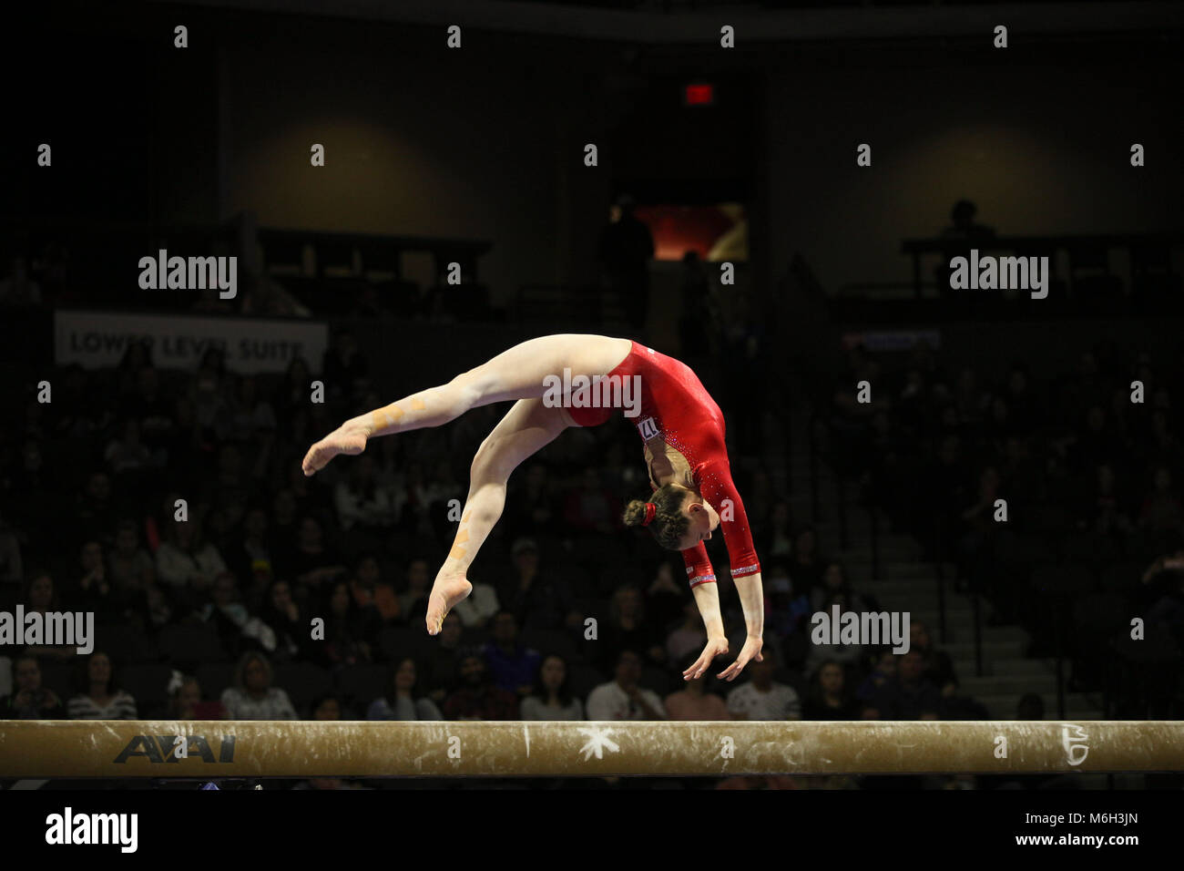 Hoffman Estates, IL, USA. 3rd Mar, 2018. Gymnast Mailie O'Keefe (USA ...