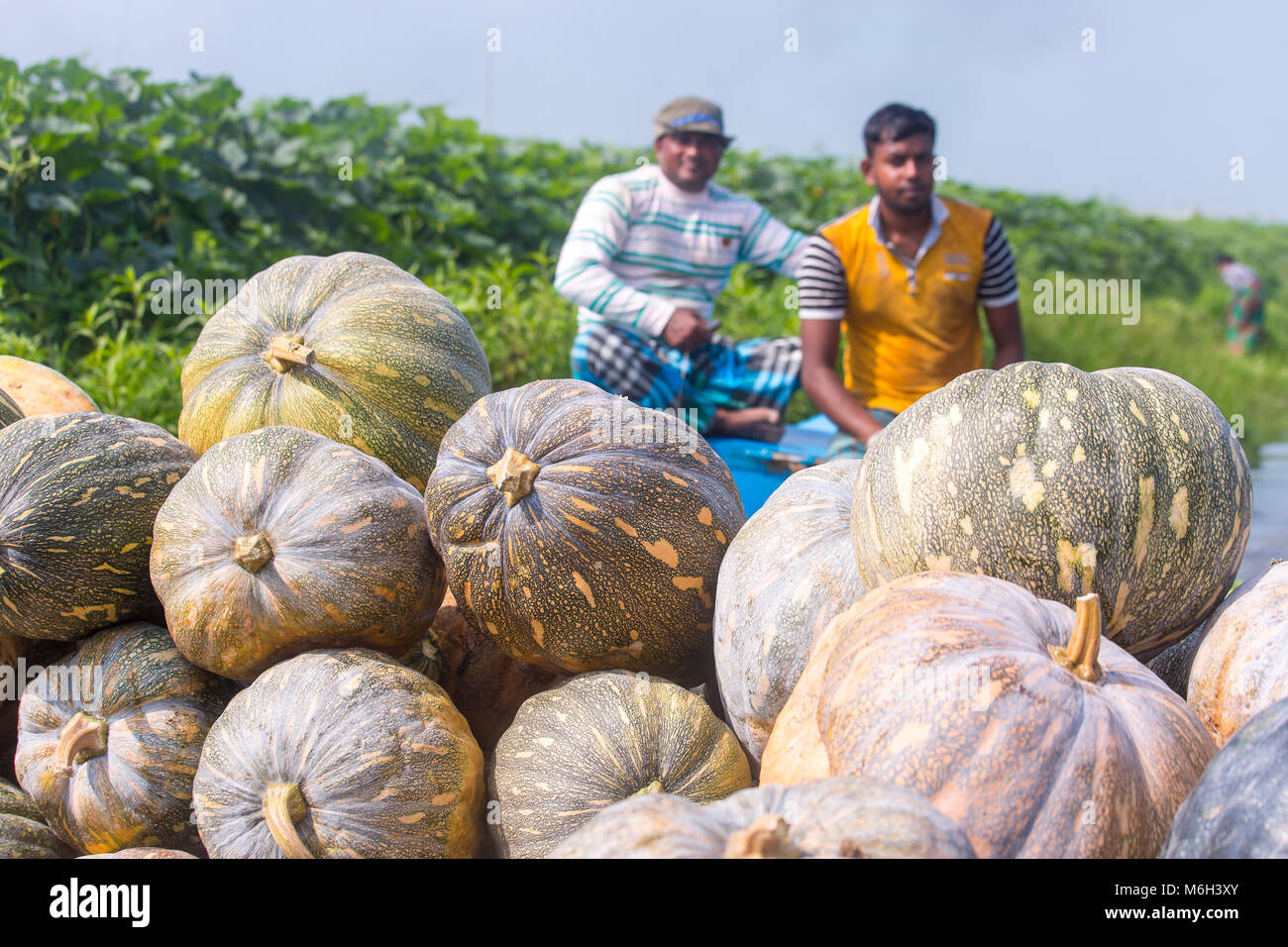 The Arial Beel (water body) of Munshiganj is famous for producing ...