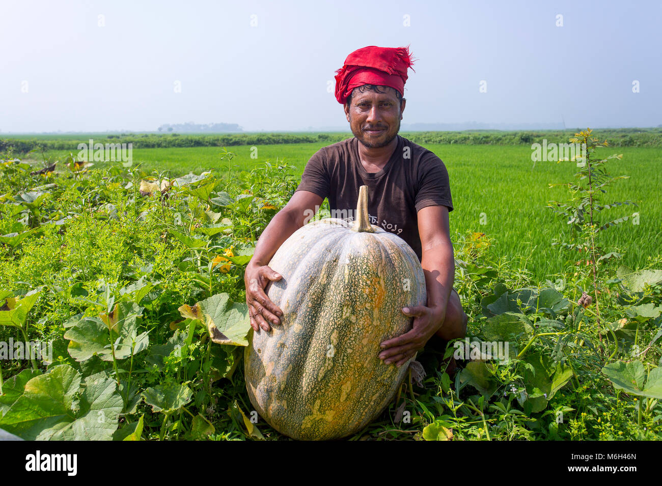 The Arial Beel (water body) of Munshiganj is famous for producing ...