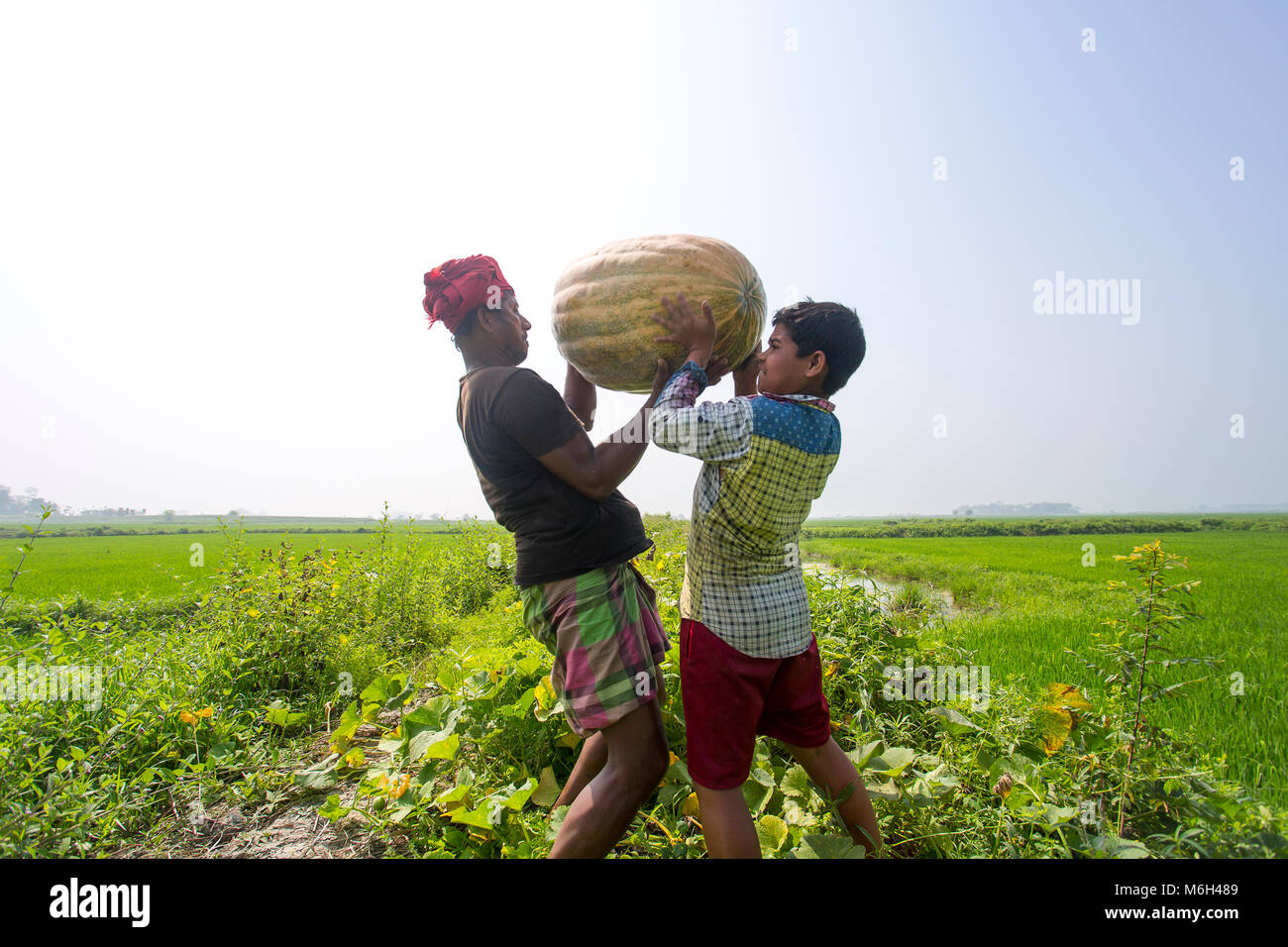 The Arial Beel (water body) of Munshiganj is famous for producing ...