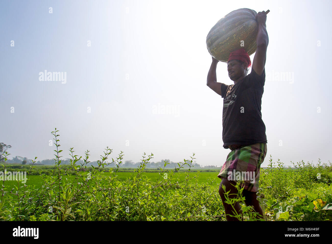 The Arial Beel (water body) of Munshiganj is famous for producing ...