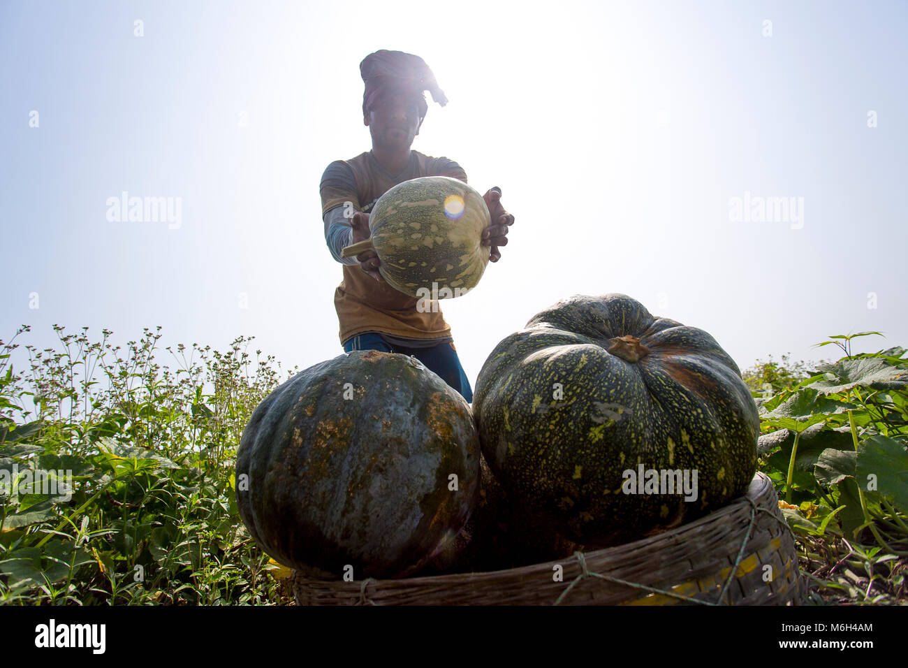 The Arial Beel (water body) of Munshiganj is famous for producing ...