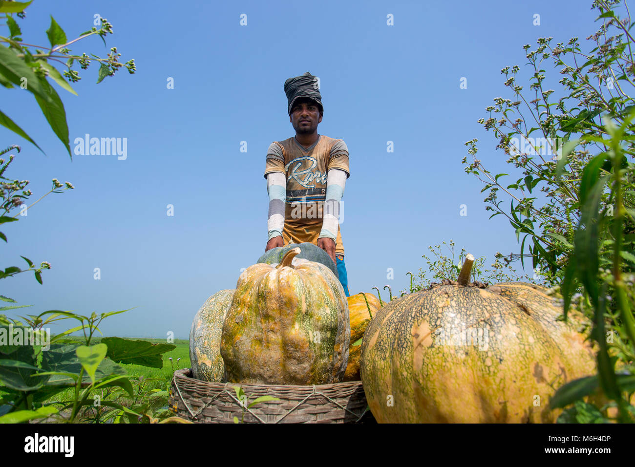 The Arial Beel (water body) of Munshiganj is famous for producing ...