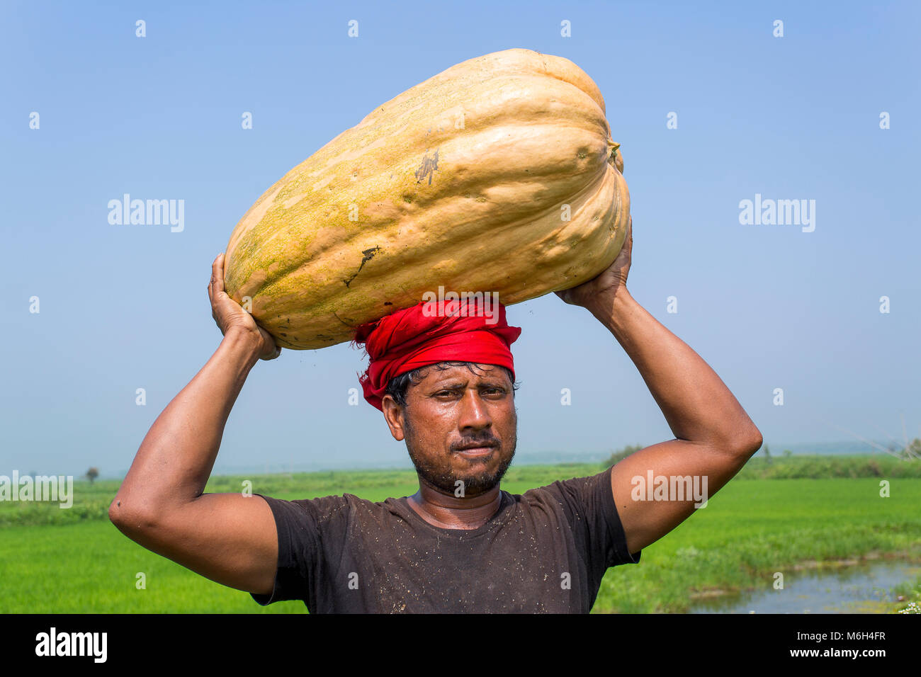 The Arial Beel (water body) of Munshiganj is famous for producing ...