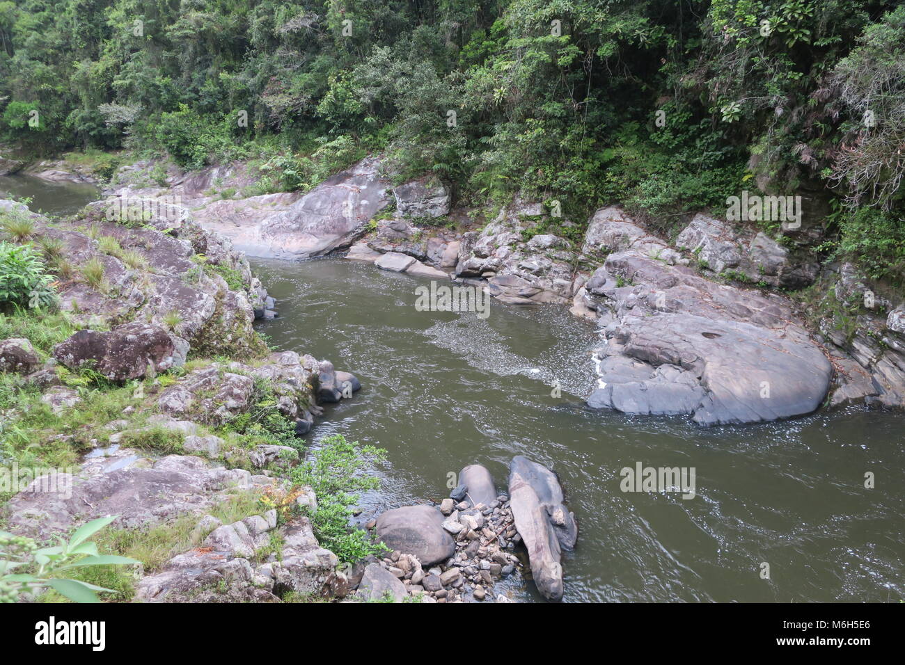 River running through Ranomafana national park in Haute Matsiatra and ...
