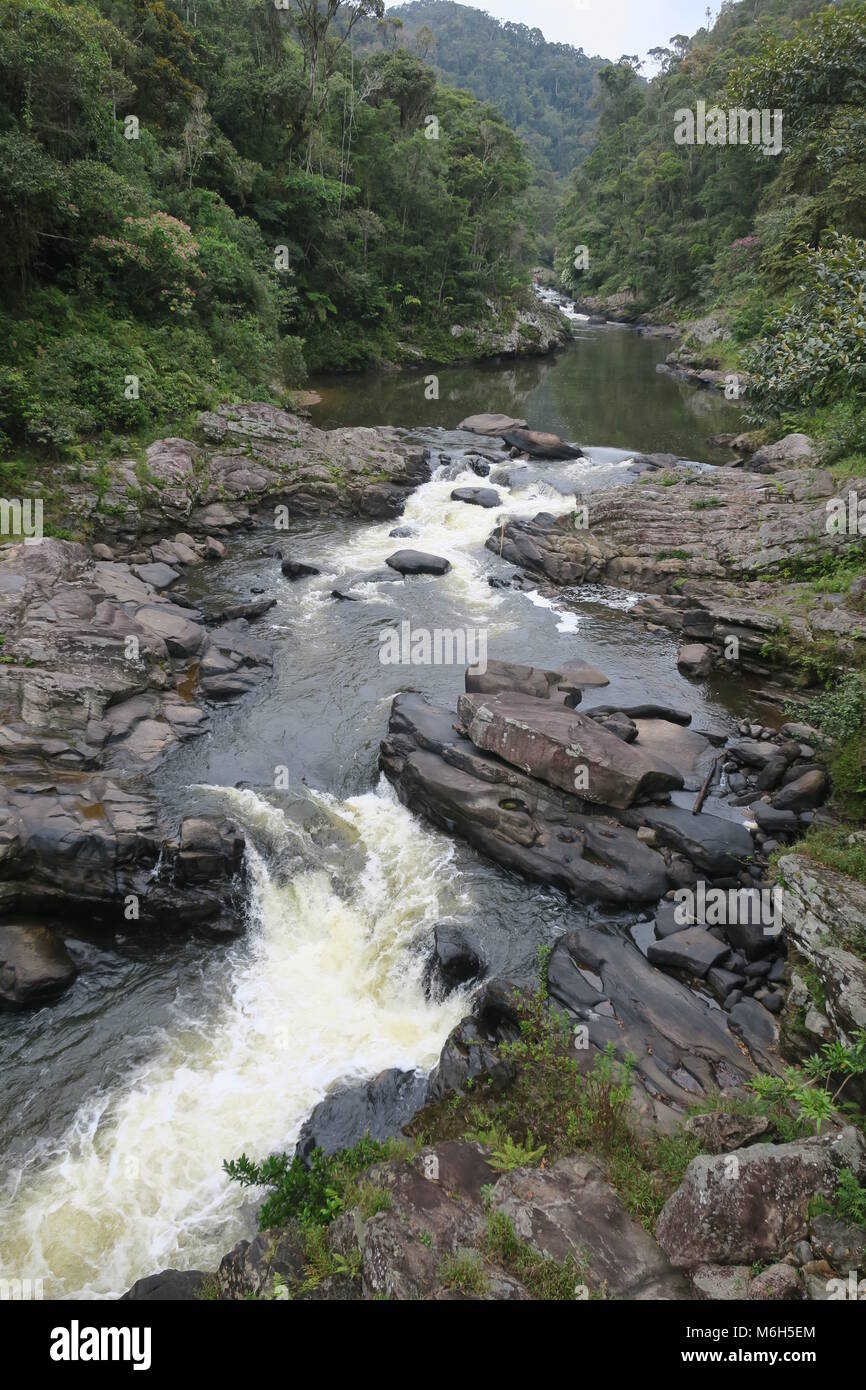 River running through Ranomafana national park in Haute Matsiatra and ...