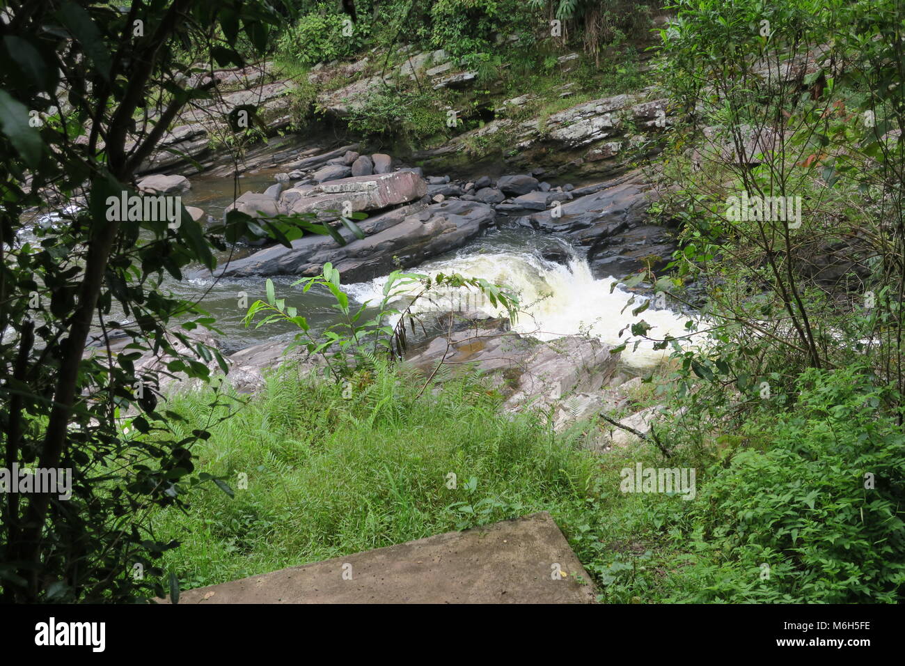 River running through Ranomafana national park in Haute Matsiatra and ...