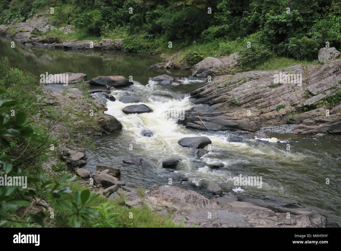 River running through Ranomafana national park in Haute Matsiatra and ...