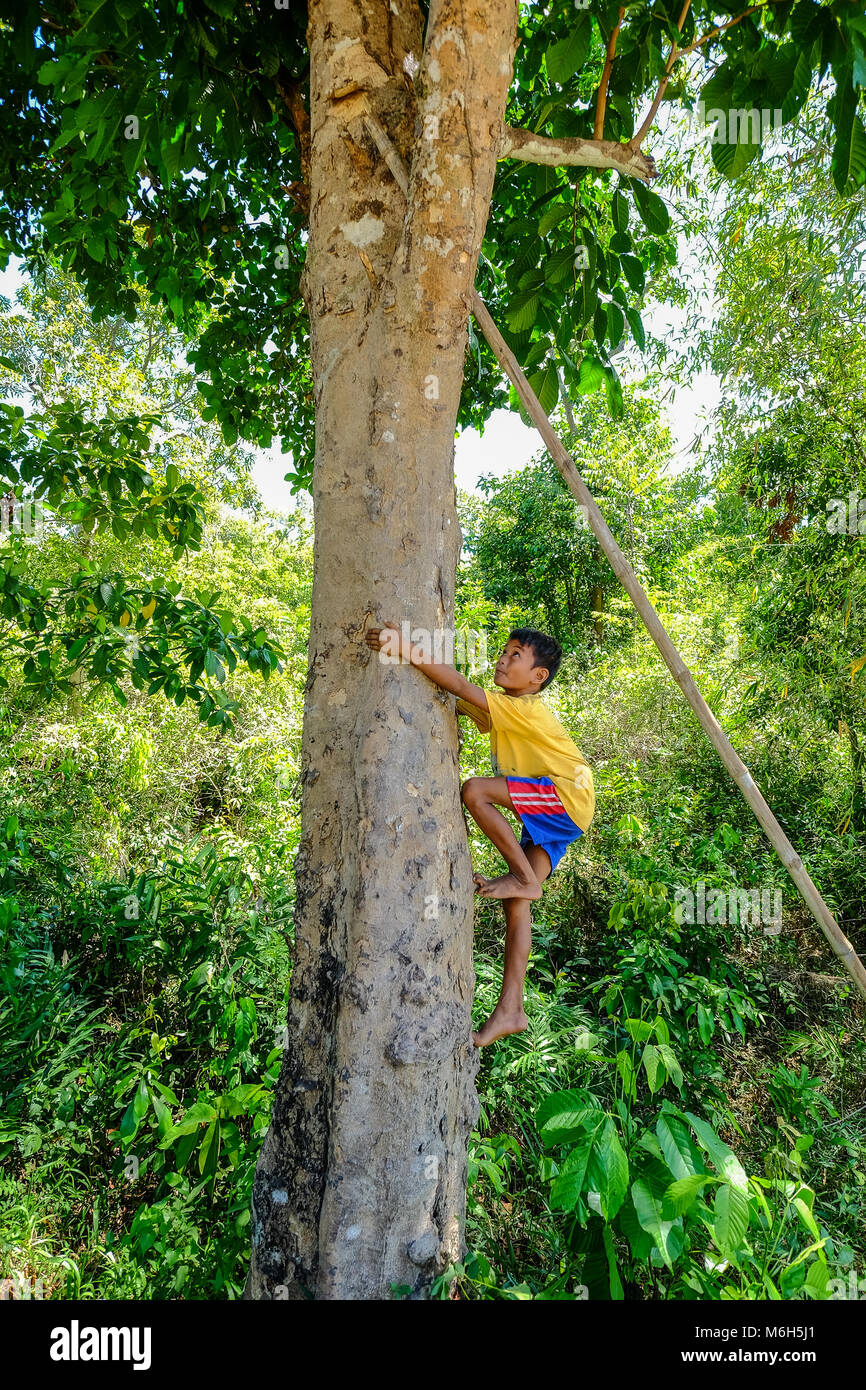 Palawan, Philippines - Apr 10, 2017. A boy climbing on tree in Coron ...