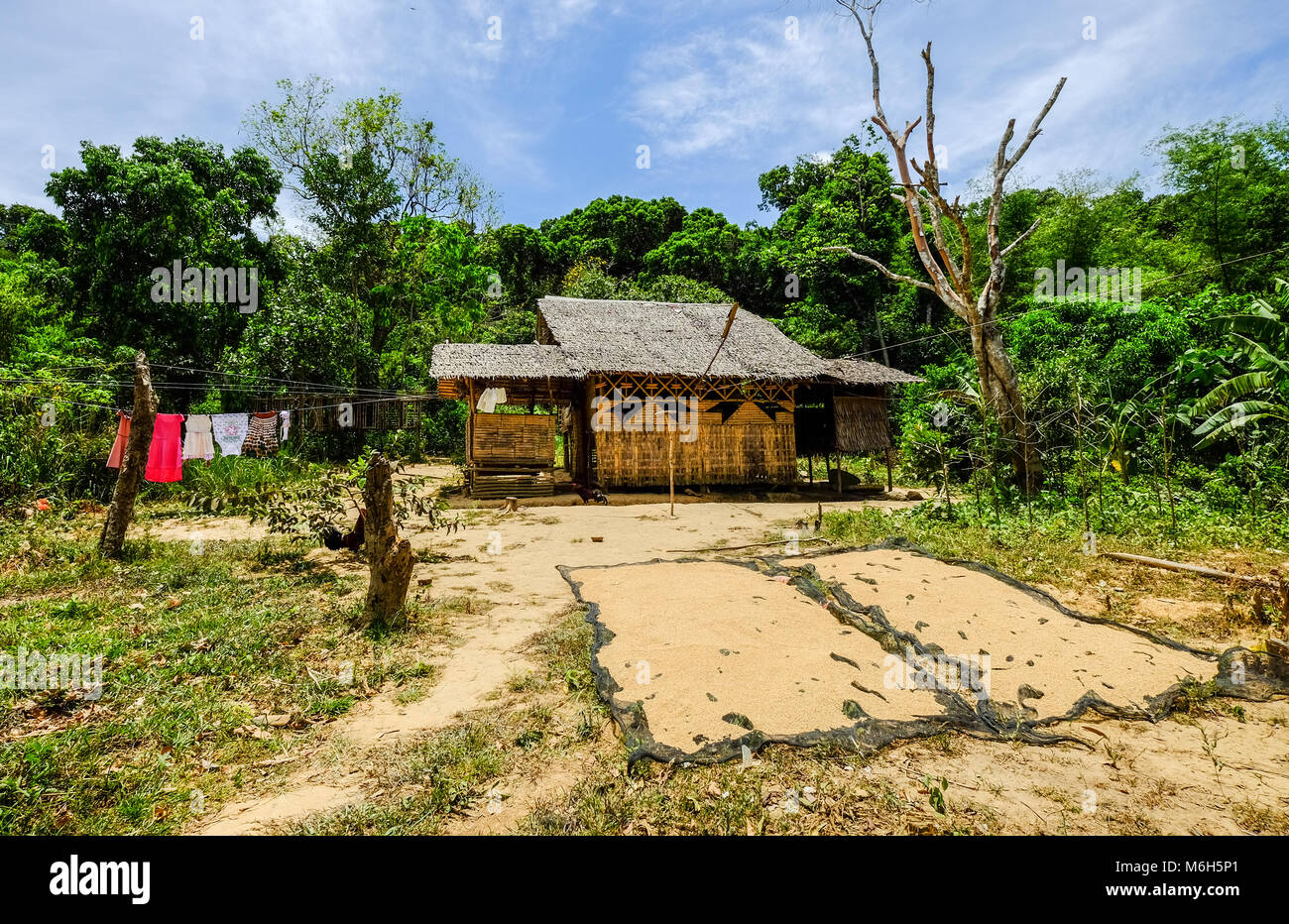 A poor house at sunny day in Palawan Island, Philippines Stock Photo ...