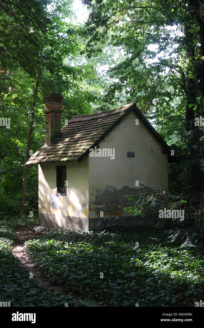 Old little hidden house in the hungarian wood Stock Photo - Alamy