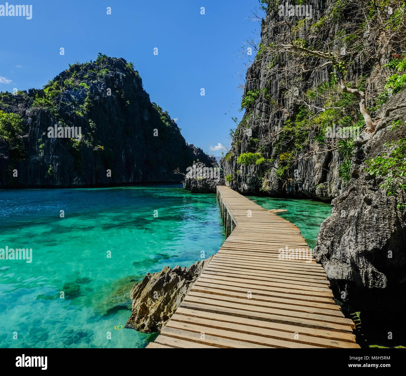 Wooden bridge at pier in Palawan, Philippines. Palawan is one of the ...
