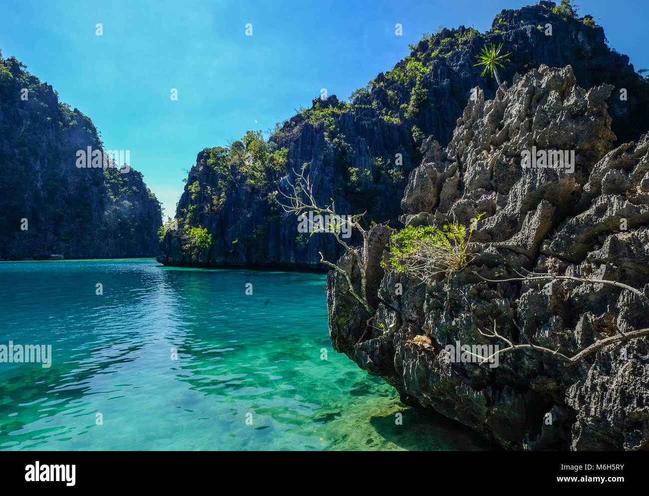 Black rocks on sea in Palawan Island, Philippines Stock Photo - Alamy