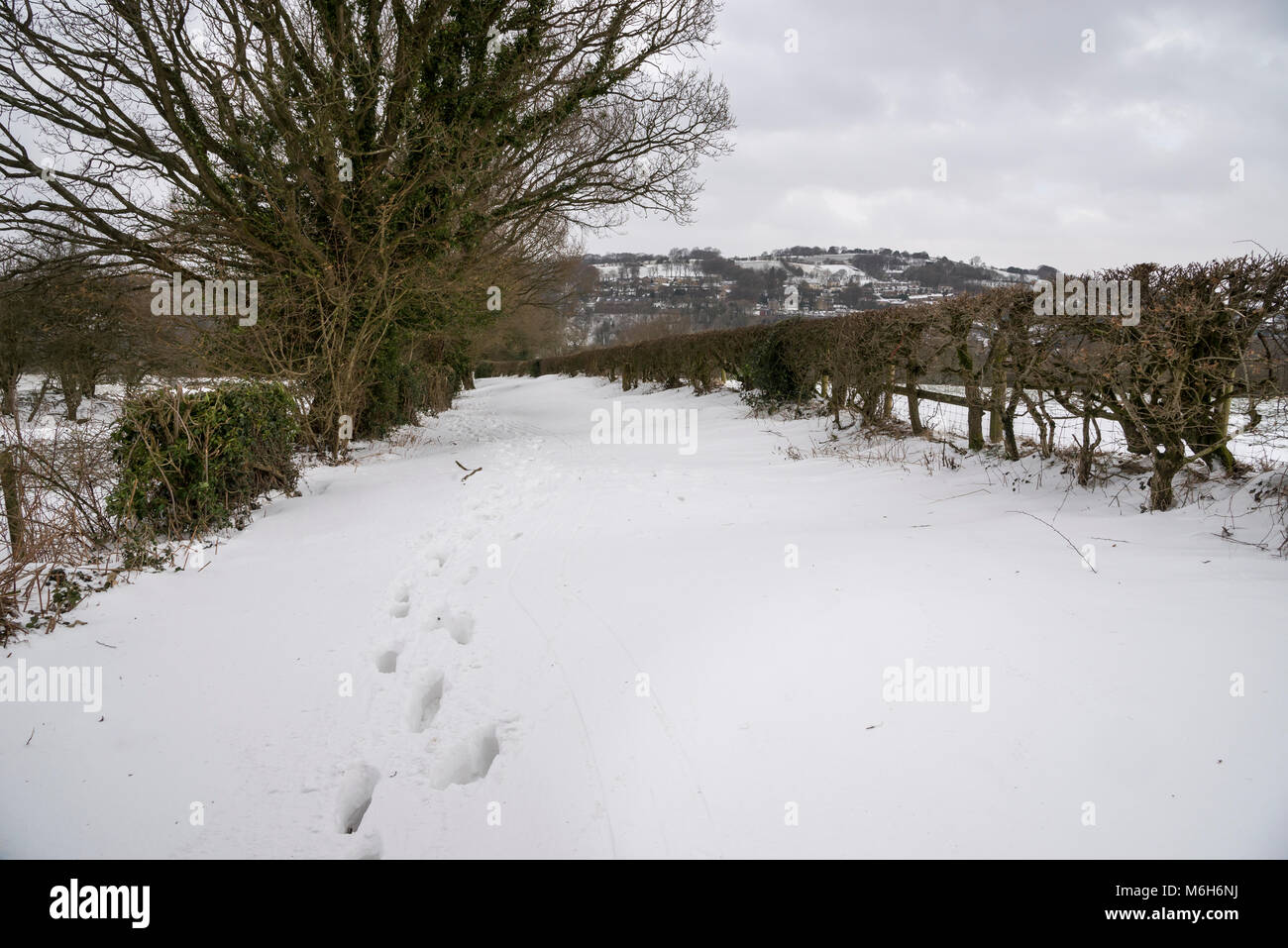 Deep snow on a country lane in the English countryside Stock Photo - Alamy