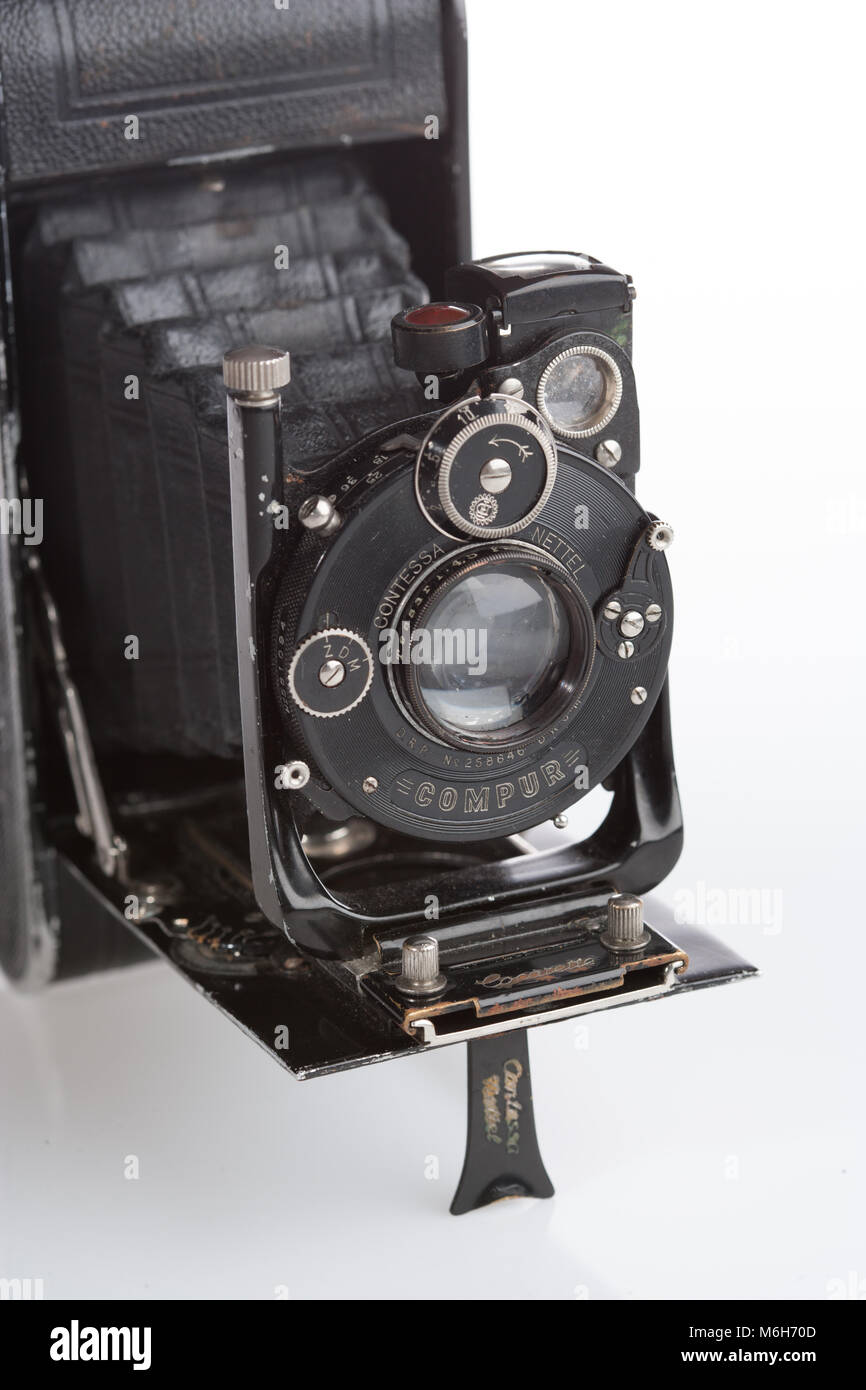 Cocarette, Contessa Nettel (Sweden Stock Photo - Alamy