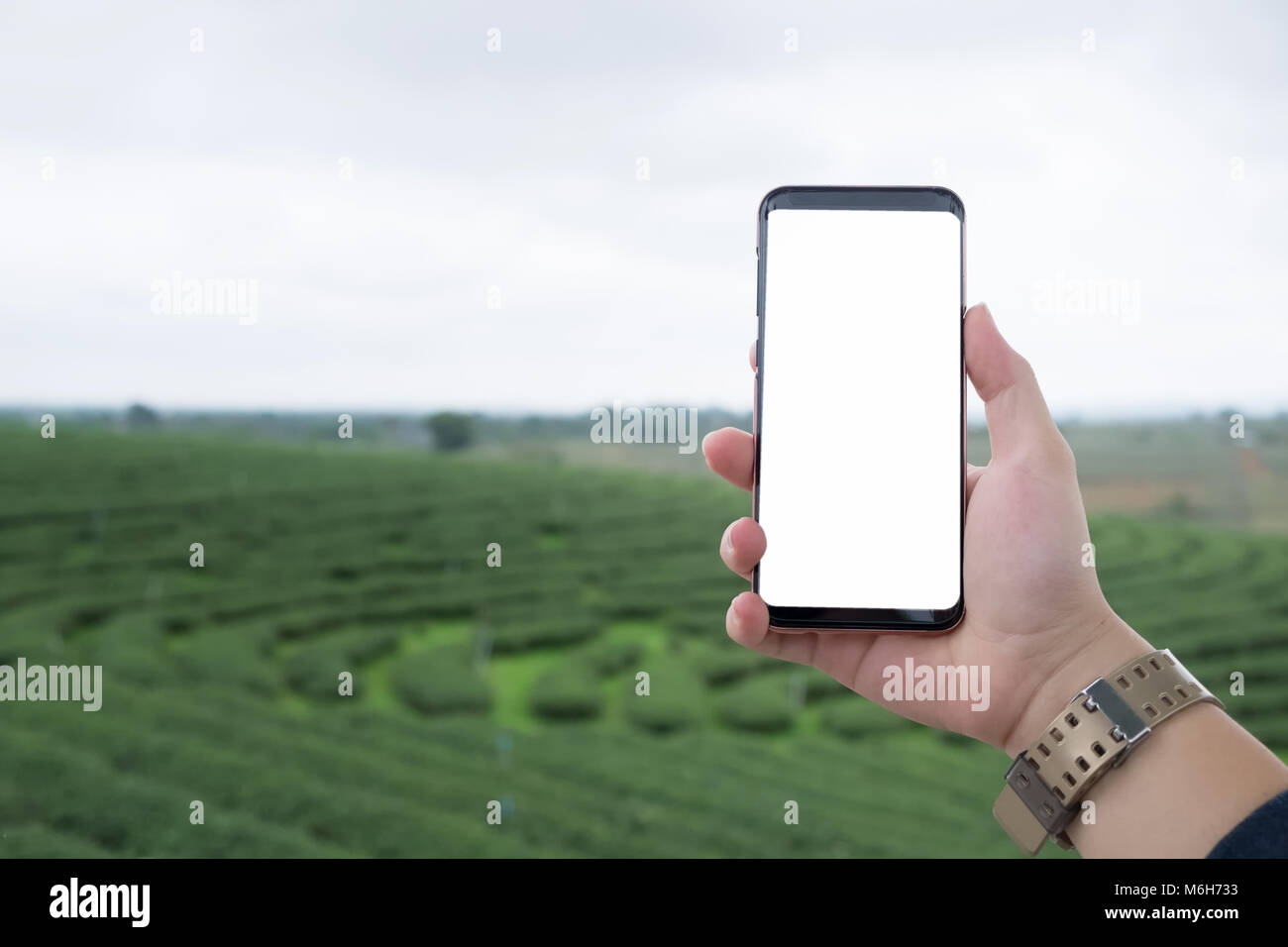 Mobile Smartphone on hands with empty screen on nature view Stock Photo ...