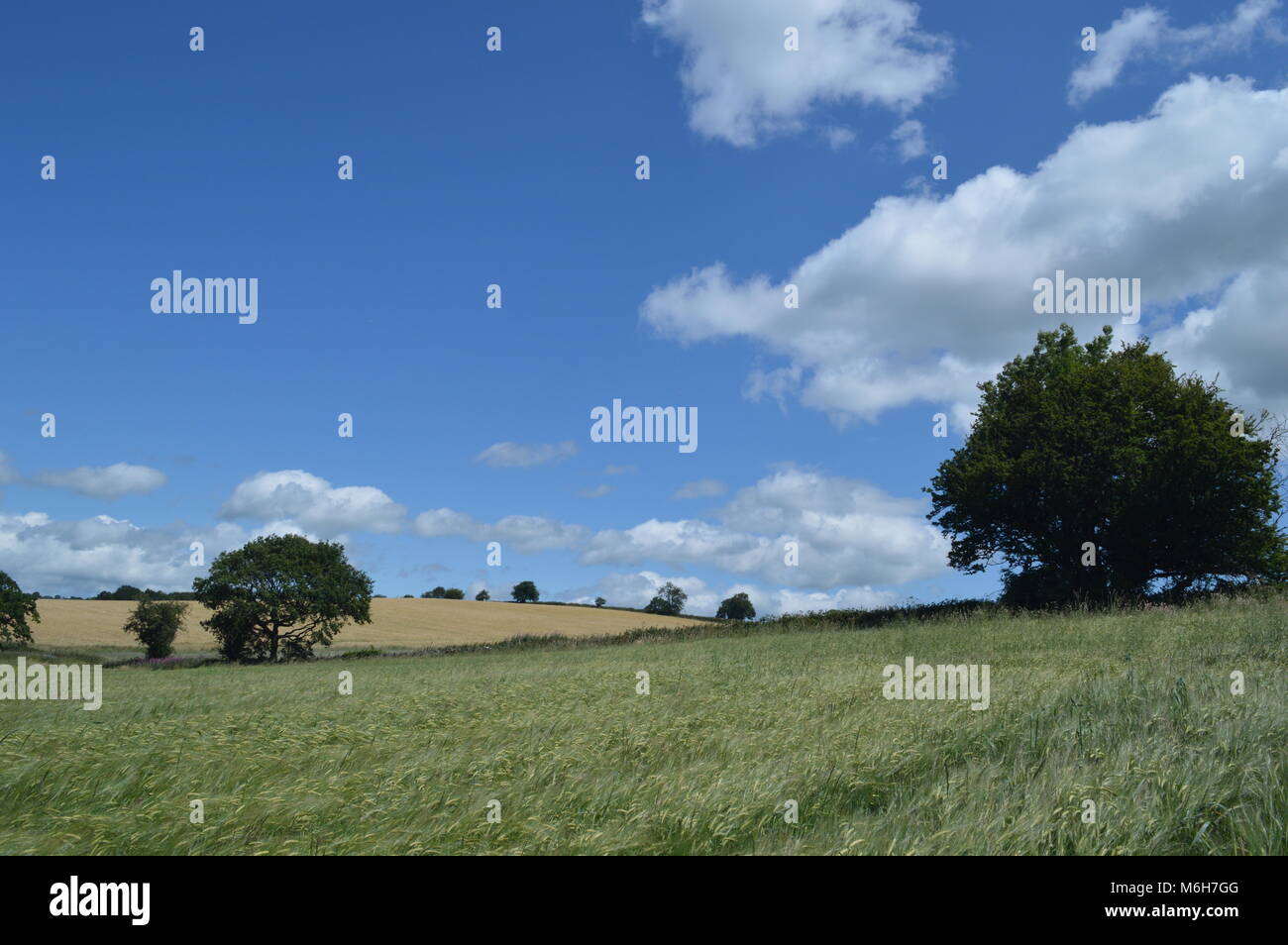 Landscape of the British country side Stock Photo - Alamy