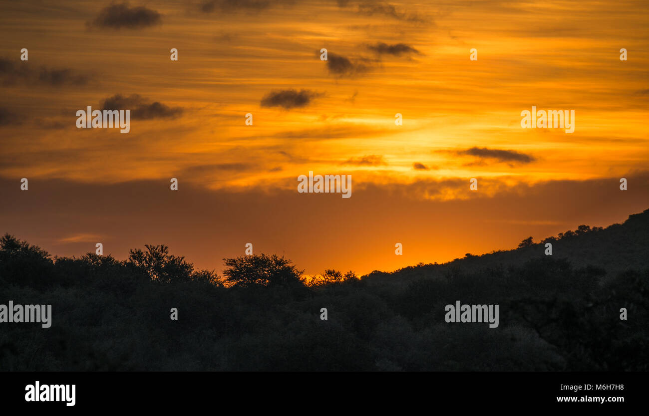 Sunset over South African Safari Stock Photo - Alamy