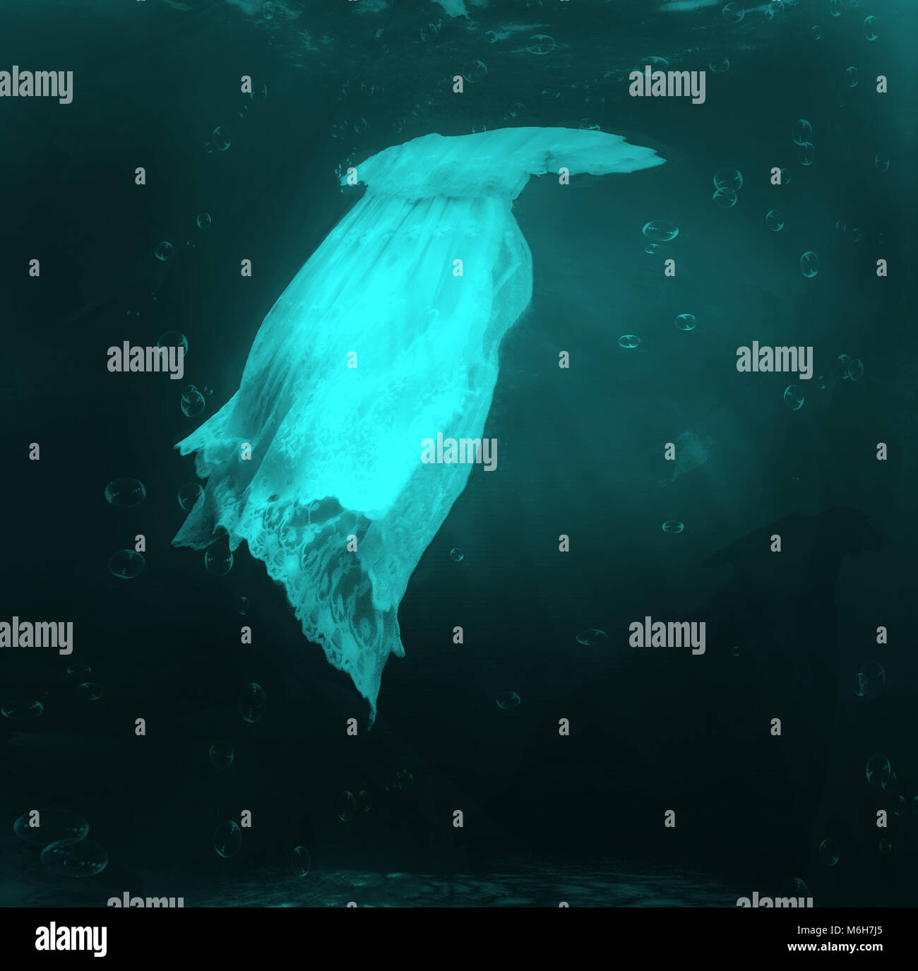 Female swimmer underwater hi-res stock photography and images - Alamy