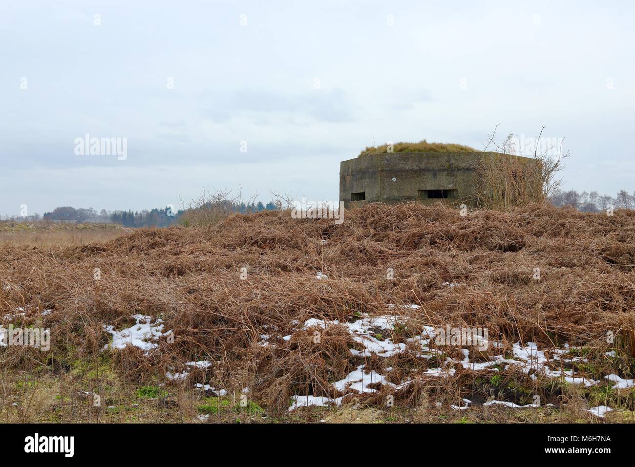 Pill heath hi-res stock photography and images - Alamy