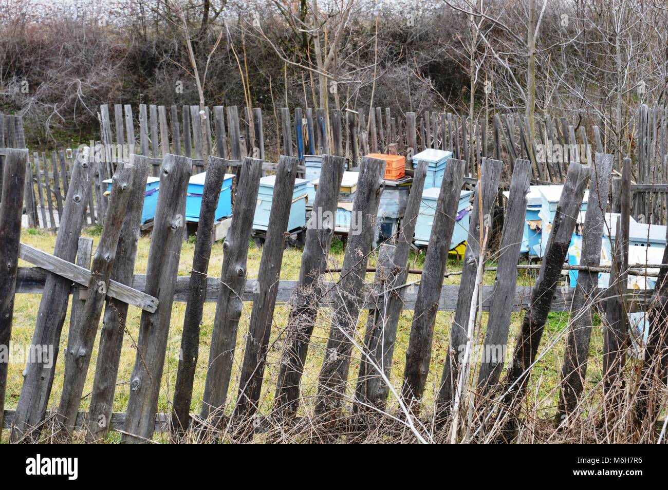 fenced hives with bees Stock Photo - Alamy