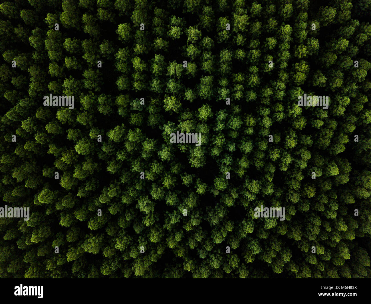 Beerwah landscapes hi-res stock photography and images - Alamy