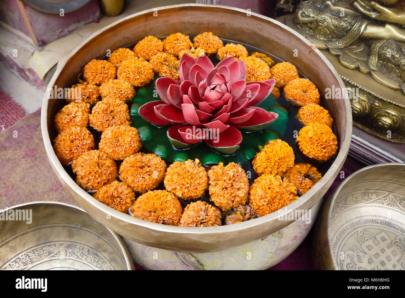 Sacred orange flowers in a bowl with lotus flower, Kathmandu, Nepal ...