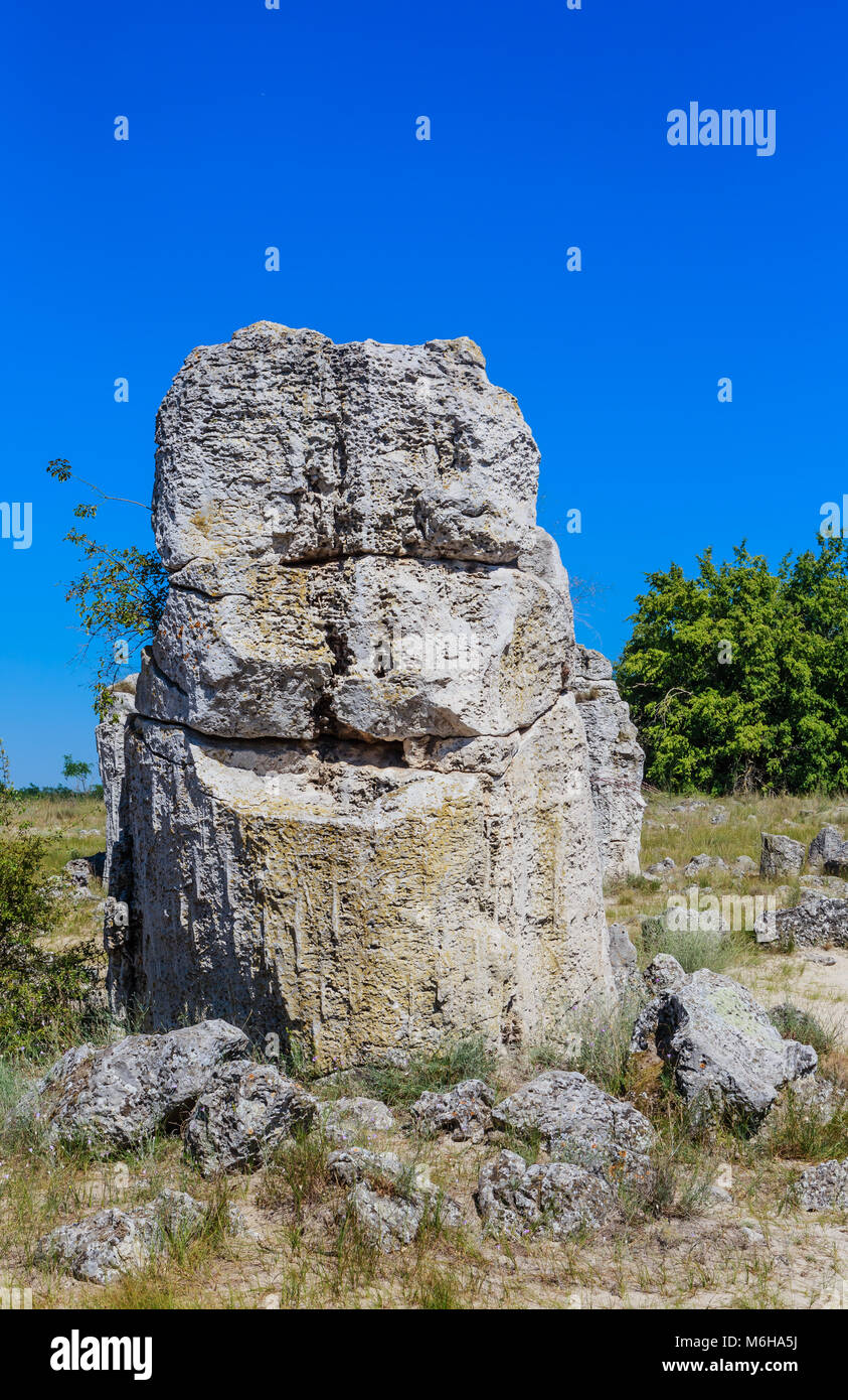 The natural phenomenon Pobiti Kamani, known as The Stone Forest and ...