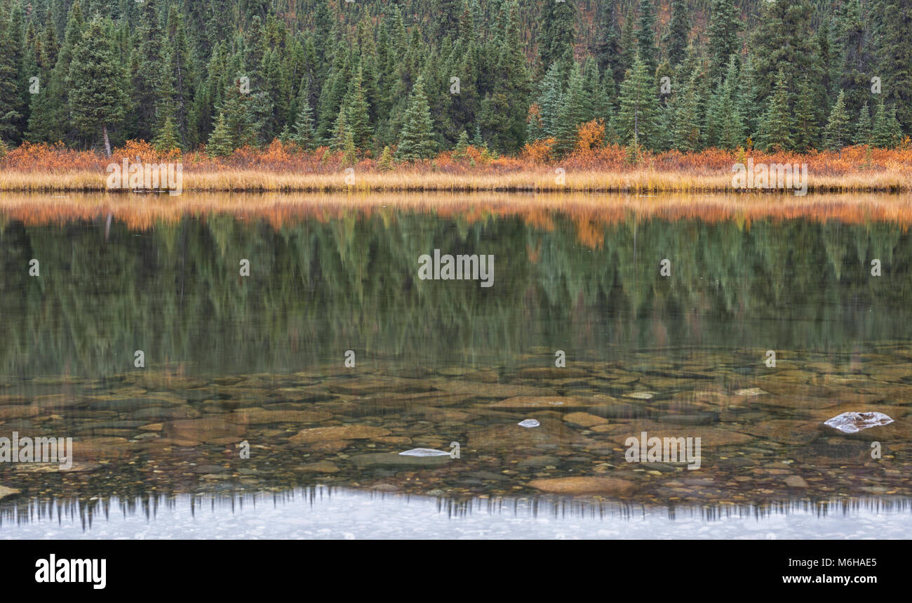 The rocky bottom of a crystal clear pond is clearly visible under the ...