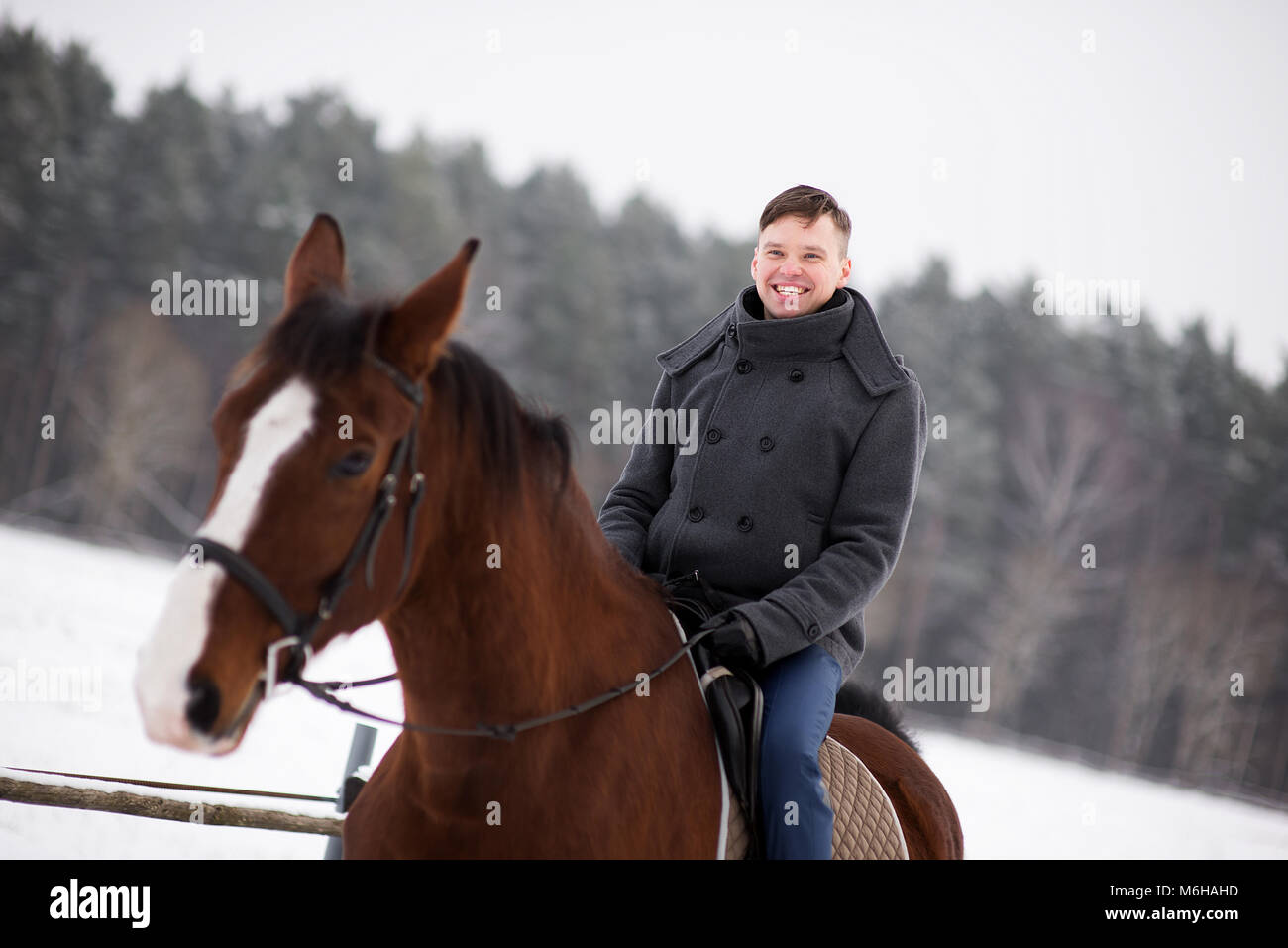 Young man riding brown horse Stock Photo - Alamy