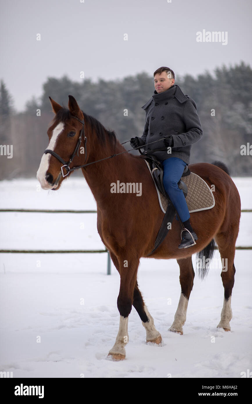 Young man riding brown horse Stock Photo - Alamy