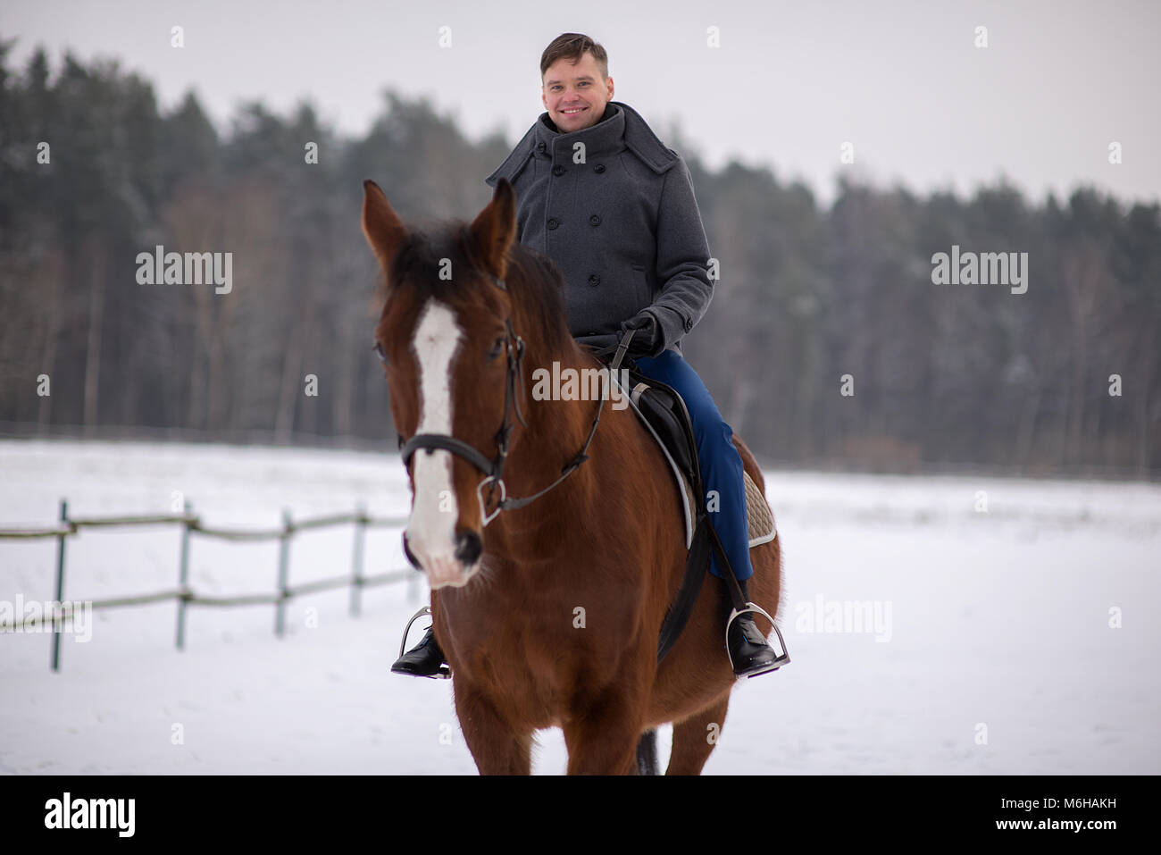 Young man riding brown horse Stock Photo - Alamy
