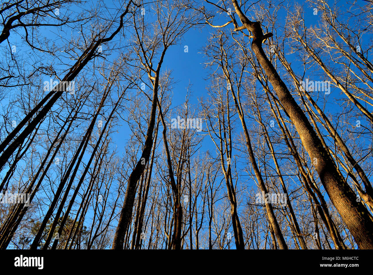 Neusiok trail hi-res stock photography and images - Alamy