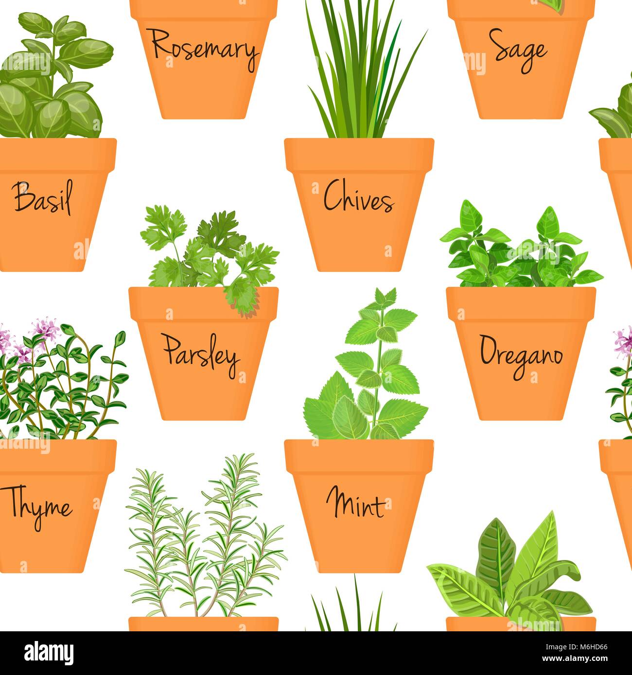 Big icon seamless pattern vector set of culinary herbs in orange ...