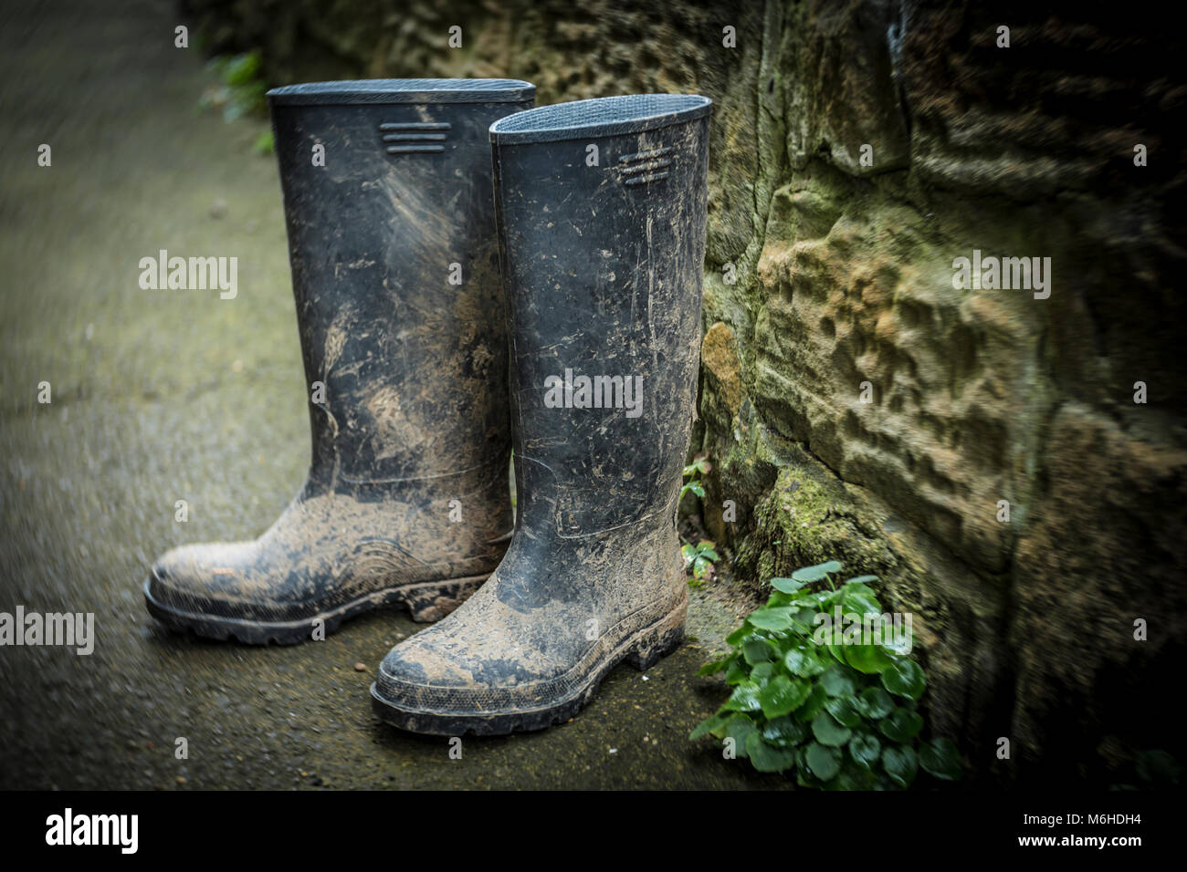 Wellies mud hi-res stock photography and images - Alamy